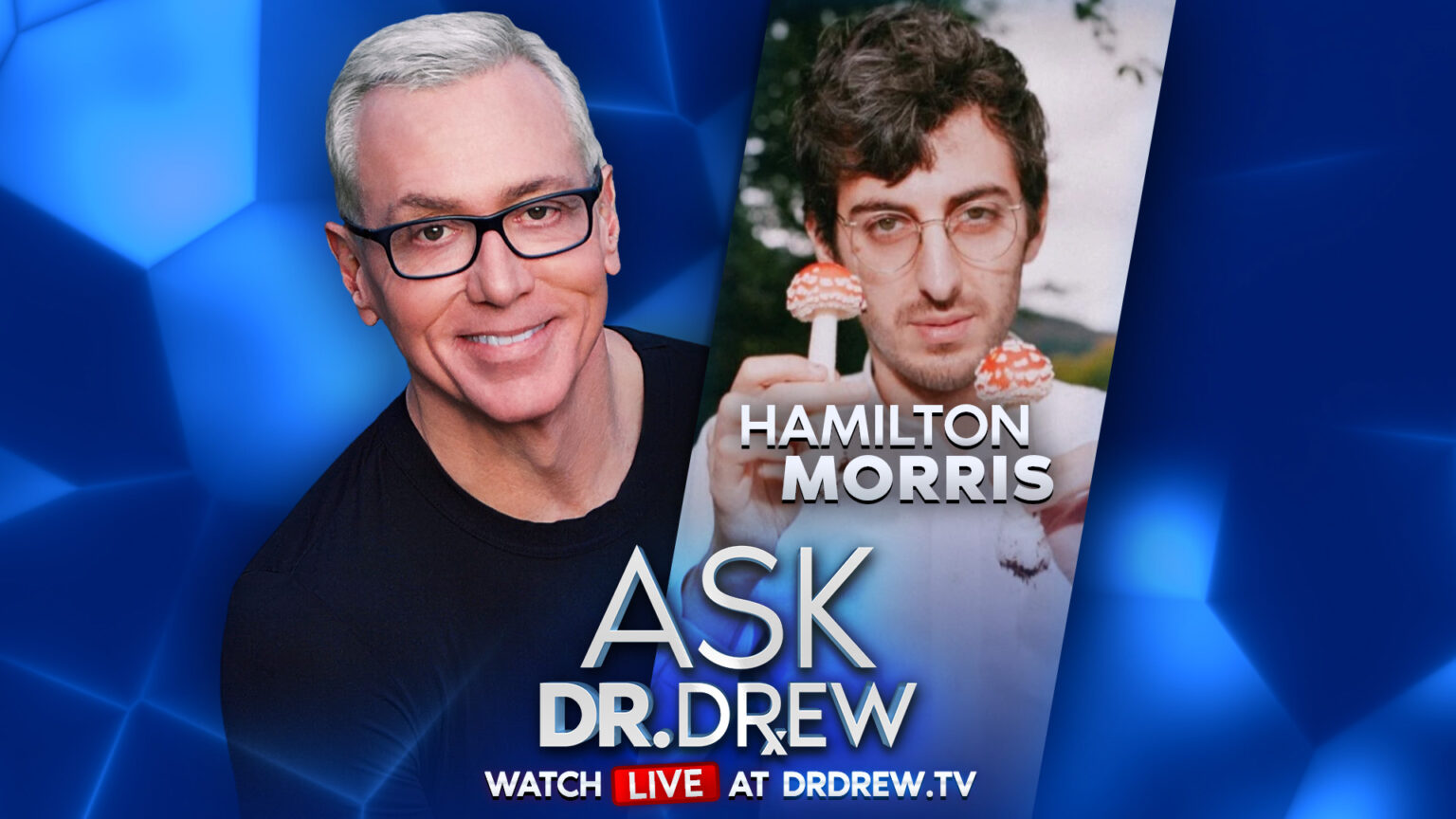 Psychedelics & DMT with Hamilton Morris of Hamilton's Pharmacopeia ...